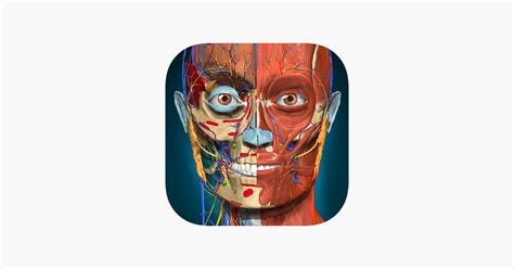 ‎anatomy Learning 3d Anatomy On The App Store