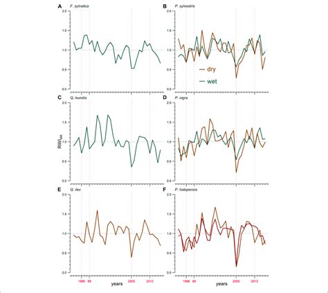 Standardized Tree Ring Width Chronologies Rwistd For The Six