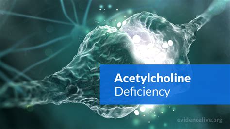 Acetylcholine Deficiency Symptoms Causes Of Low Levels Evidencelive