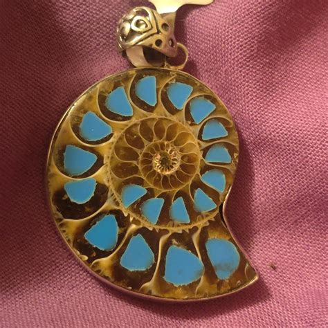 A Fossilized Snail Set In Silver Marked 925 Made Depop