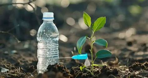 Diy Automatic Plant Watering System Simple Steps To Keep Your Plants Healthy While Youre Away