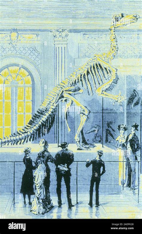 Iguanodon Coloured Engraving From 1883 Of People Viewing An Iguanodon
