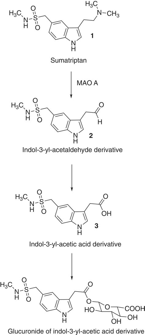Metabolism Of Sumatriptan Published In Literature Download Scientific