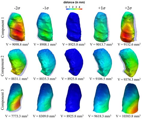 First Three Modes Of Variation Captured From The Residuals Between
