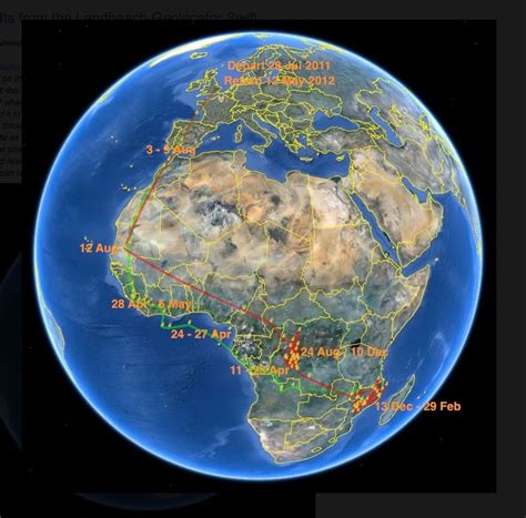 Migration Map Bristol Swifts