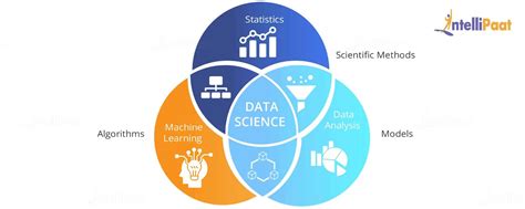 what is data science definition skills and more