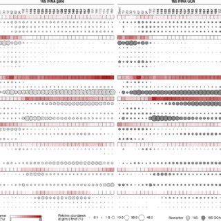 Bubble Plot Indicates The Relative Abundances Of Major Populations In Download Scientific