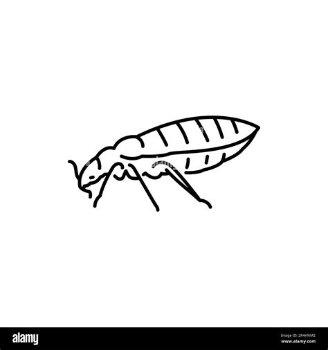 Bug Black Line Icon Stock Vector Image Art Alamy