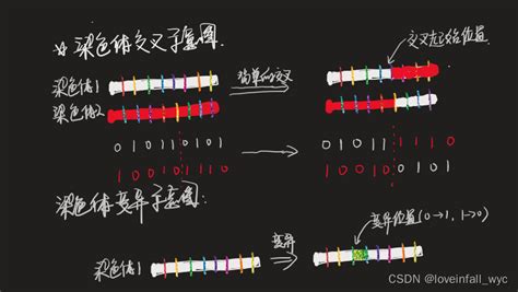 计算机智能专题 遗传算法1不带约束的遗传算法实数编码 Csdn博客