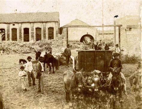Trabajadores De Un Ingenio Azucarero Tucumán 1890 Estacion