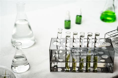 생명 공학 과학 실험실 배경 대체 연료 또는 자연 생물학 및 환경 기술의 생물 연료 실험 연구를 가진 녹조류 수생 식물의 매크로 현미경 근접 촬영 물에 대한 스톡 사진 및