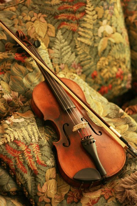 Fiddle Tunes Friendzy Learn And Play Fiddle Tunes