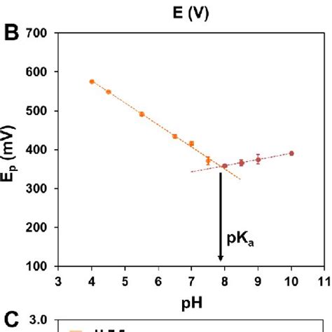 Visual Lamp Reaction Products Of Ply Gene End Point Lamp Reaction
