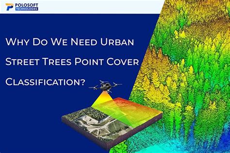 Next Level Forest Insights Through Tree Classification And Feature Extraction Blog Polosoft