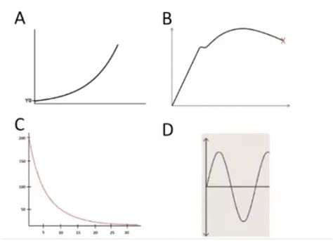 BME Lecture Bone Basics And Mechanics Flashcards Quizlet
