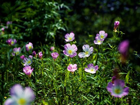 A Cadence Of Self Compassion — Karen Walrond