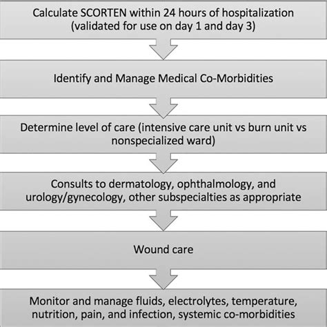 Management Of Stevens Johnson Syndrome Toxic Epidermal Necrolysis A