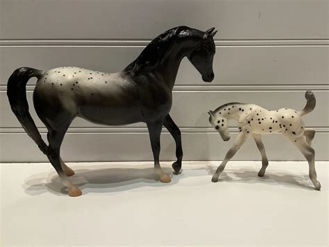 Leopard Appaloosa Foal