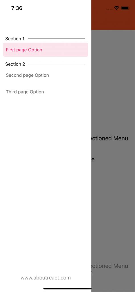 React Navigation Drawer With Sectioned Menu Options And Footer