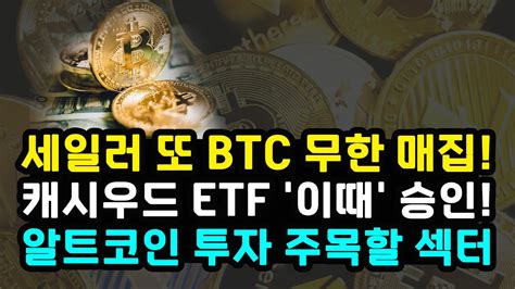 비트코인 대량 매집한 마이클 세일러 캐시우드 1월 10일 이전 Etf 승인한다 알트코인 투자 섹터 솔라나 이더리움 리플 체인링크 Youtube