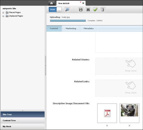 Designing Attribute Editors