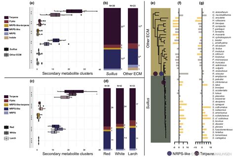 真菌基因组研究高分策略（二）：比较基因组揭示寄主外生菌根真菌基因组的动态进化