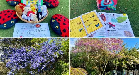 What The Ladybird Heard The Grove Nursery School