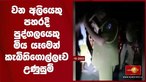 වන අලියෙකු පහරදී පුද්ගලයෙකු මිය යෑමෙන් කැබිතිගොල්ලෑව උණුසුම් Youtube