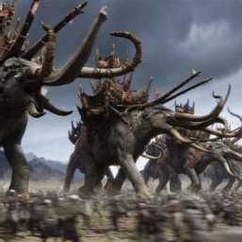 Tom Westphal Youtube