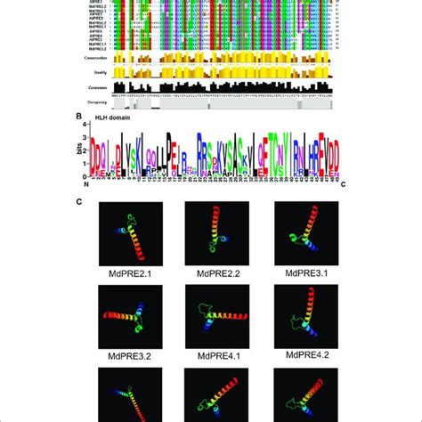multiple sequence alignment and conserved motif analyses of the mdpre