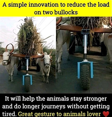 Venkatesan Kandasamy Posted On Linkedin