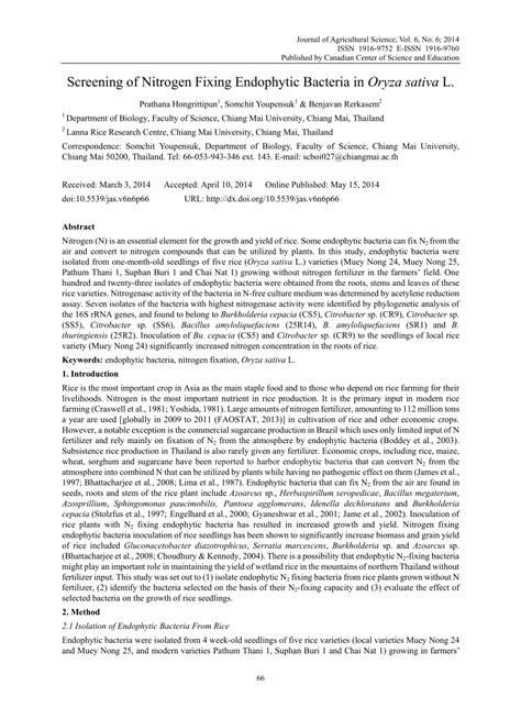 Pdf Screening Of Nitrogen Fixing Endophytic Bacteria In Oryza Sativa L