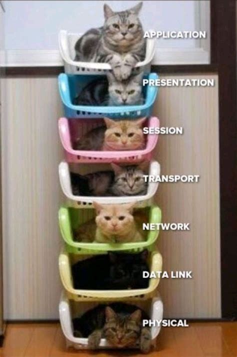 Infosec Cybersecurity Cybersecuritytips Pentesting Cybersecurityawareness