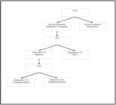Utility Of Ck8 Ck10 Ck13 And Ck17 In Differential Diagnostics Of