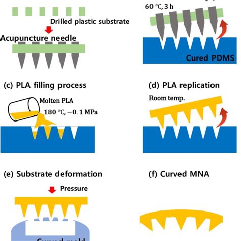 Fabrication Process For The Microneedle Array A Master Structure Download Scientific Diagram