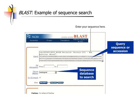 PPT Lecture 4 Sequence Alignment And Searching PowerPoint