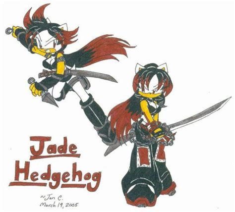Jade The Hedgehog Wiki Sonic The Hedgehog Amino