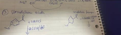 Solved What Do You Expect Will Be The Major Product For The