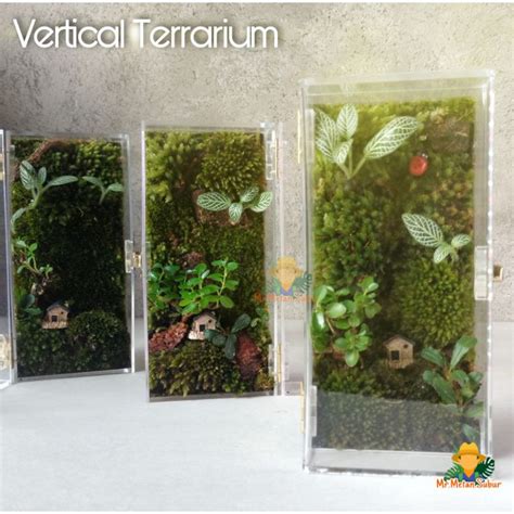 Jual Vertical Terrarium Acrilic Box Premium Original Shopee Indonesia Jual Vertical Terrarium Acrilic Box Premium Original Shopee Indonesia