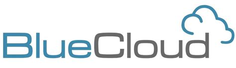 Frontend Developer Bluecloud Newbeginnings Techjourney John