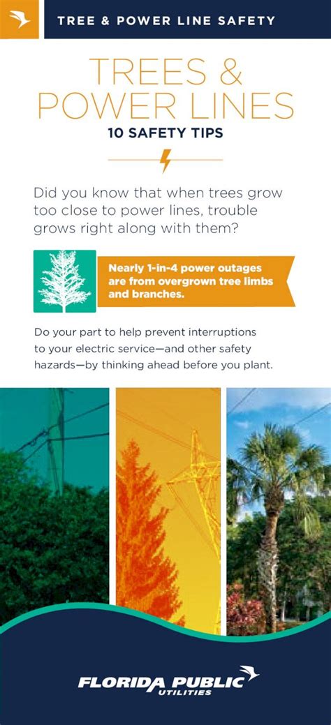 PDF TREE POWER LINE SAFETY TREES POWER LINES Program Keeps Your Power Lines Clear From