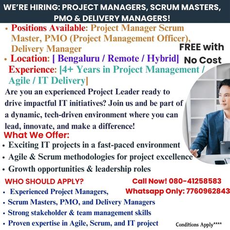 Projectmanager Scrummaster Pmo Deliverymanager Itcareers Non It