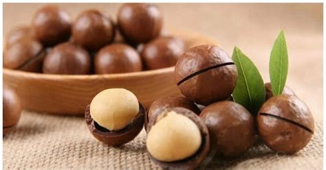 Орех Макадамия Пикабу