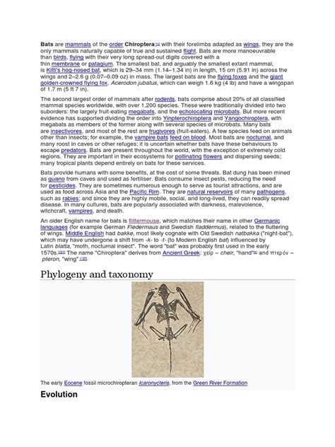 Phylogeny And Taxonomy Bats Are Pdf Bat Mammals