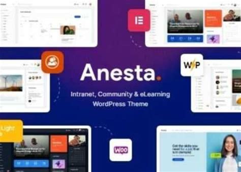 Anesta Theme Wp Gpl Intranet Extranet Community Wordpress Theme Gpl Theme Plugin