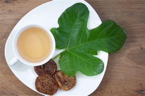 Чай от смокинови листа защо да го консумираме For Life