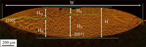 Om Images Showing The Microstructure Of The Cross Section Of The Download Scientific Diagram