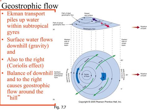 Actual Geostrophic Flow Is Created By Which Of The Following Layla