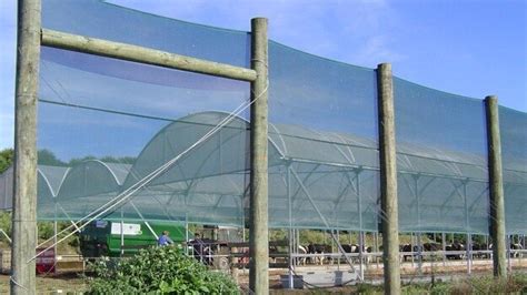 Protect Your Crop With Agriculture Windbreak Net Eyouagro