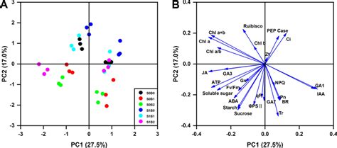 Principal Components Analysis Score A And Loading Plot B Of The